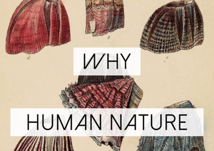 Lisa Bortolotti on LinkedIn: Why Human Nature Matters Lisa Bortolotti on LinkedIn: Why Human Nature Matters