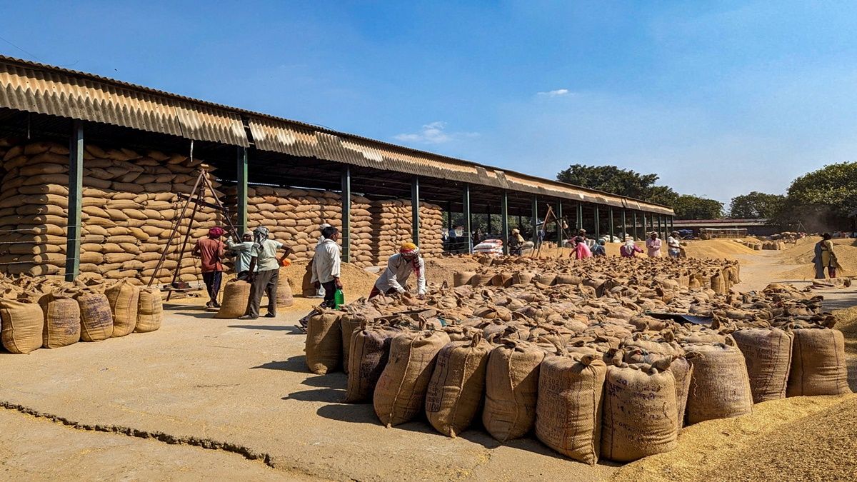 Agri exports rebound on meat and F&V shipments | Trade Promotion ... Agri exports rebound on meat and F&V shipments | Trade Promotion ...