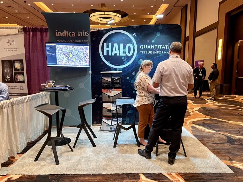 Indica Labs on LinkedIn: #haloimageanalysis #digitalpathology #indicalabs Indica Labs on LinkedIn: #haloimageanalysis #digitalpathology #indicalabs