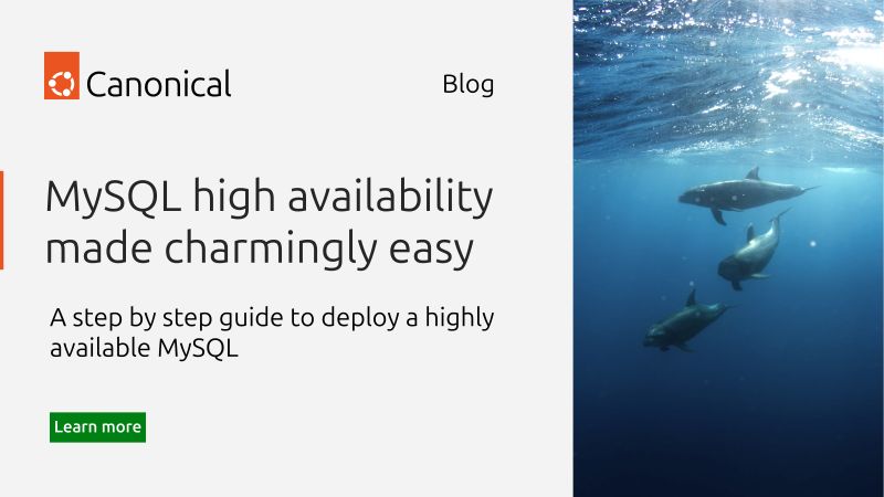 Canonical on LinkedIn: #mysql #databasemanagement #opensource Canonical on LinkedIn: #mysql #databasemanagement #opensource
