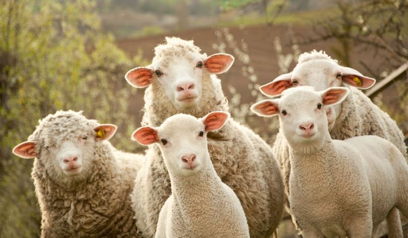 Erin Flaxman on LinkedIn: The value of differentiation will only ... Erin Flaxman on LinkedIn: The value of differentiation will only ...
