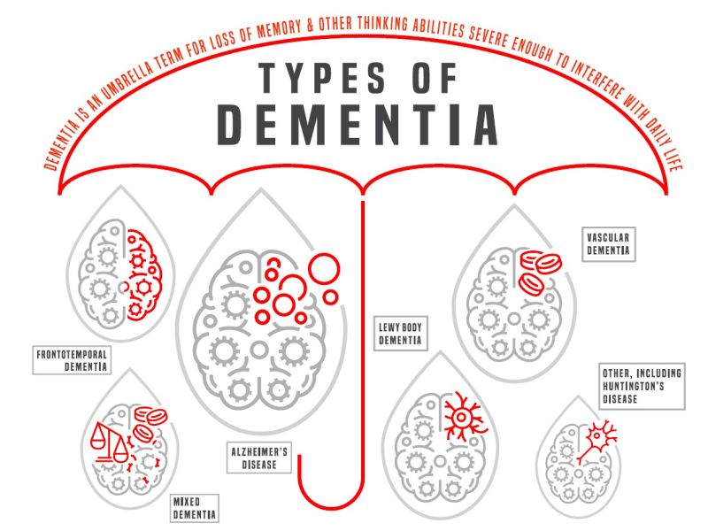 NursePartners Inc. on LinkedIn: Understanding Vascular Dementia: How It ... NursePartners Inc. on LinkedIn: Understanding Vascular Dementia: How It ...