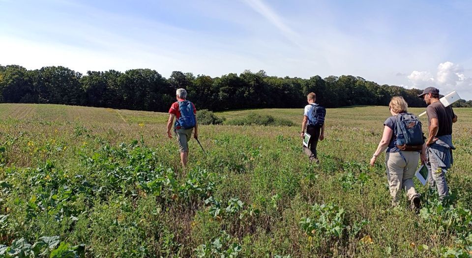 Can Soil Microbes Boost Forest Restoration? | Københavns Universitet ... Can Soil Microbes Boost Forest Restoration? | Københavns Universitet ...