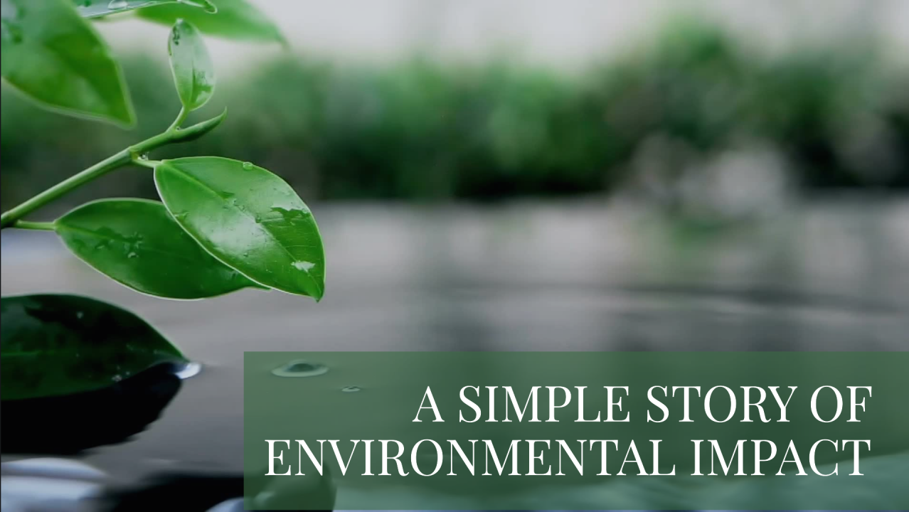 Understanding Environmental Aspects and Impacts with a Simple Story Understanding Environmental Aspects and Impacts with a Simple Story