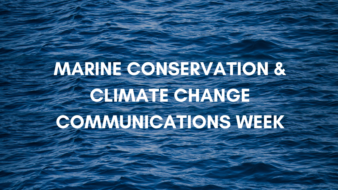 4 ways to create impactful communication 4 ways to create impactful communication