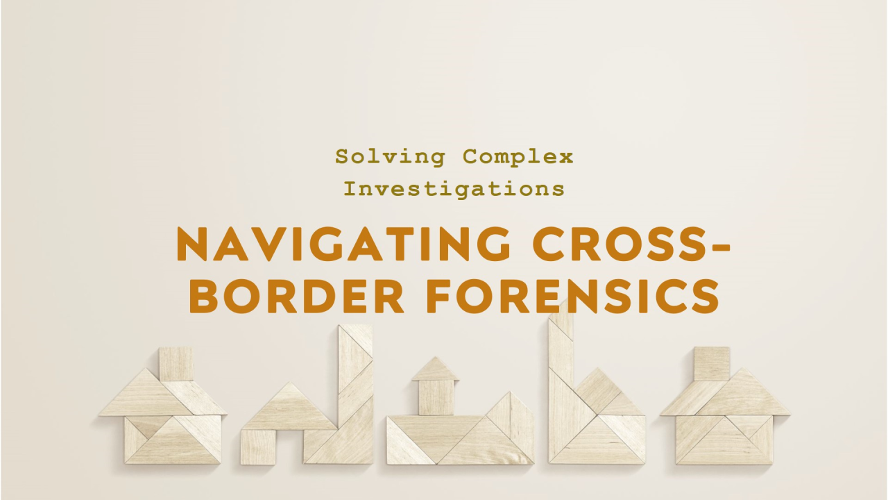 Cross-Border Forensic Investigations: Navigating a Complex Landscape Cross-Border Forensic Investigations: Navigating a Complex Landscape