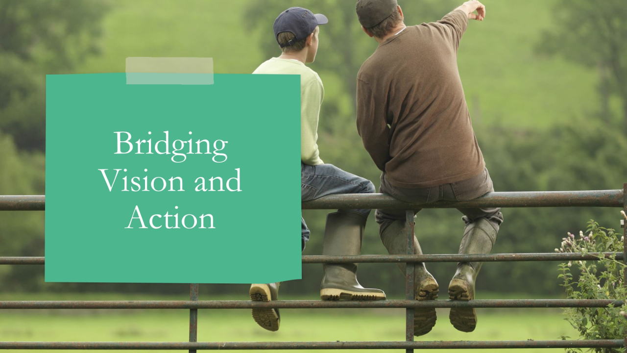 Bridging Vision and Action: Organizational Execution Bridging Vision and Action: Organizational Execution