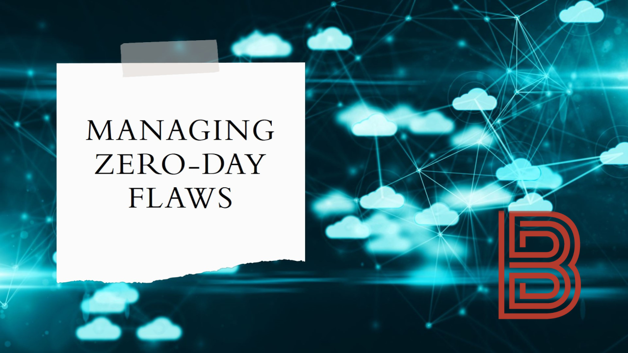 Zero-Day Flaws: A Growing Risk Management Challenge Zero-Day Flaws: A Growing Risk Management Challenge