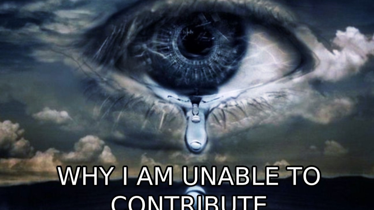 WHY I AM UNABLE TO CONTRIBUTE WHY I AM UNABLE TO CONTRIBUTE