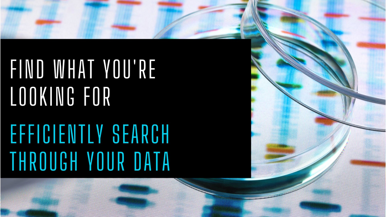 Linear Search Algorithm in Data Structures with JavaScript Linear Search Algorithm in Data Structures with JavaScript