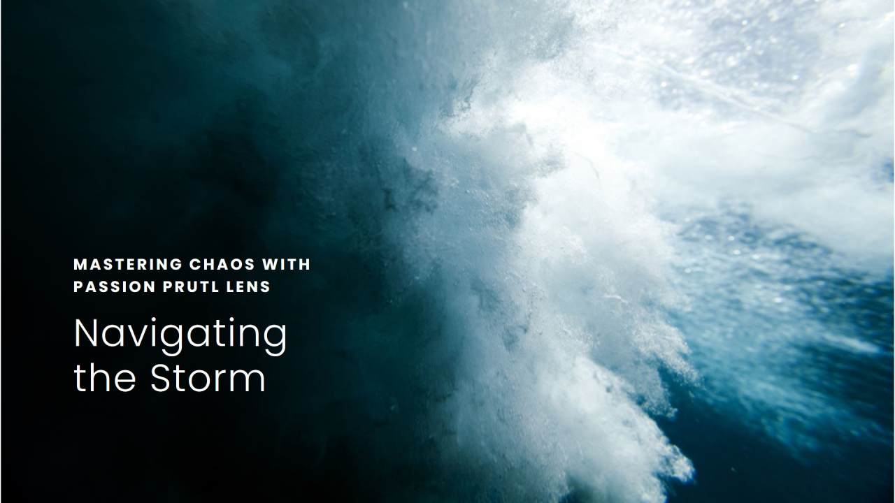 Navigating the Storm: Mastering Chaos Across Heart, Mind, Organizations ... Navigating the Storm: Mastering Chaos Across Heart, Mind, Organizations ...