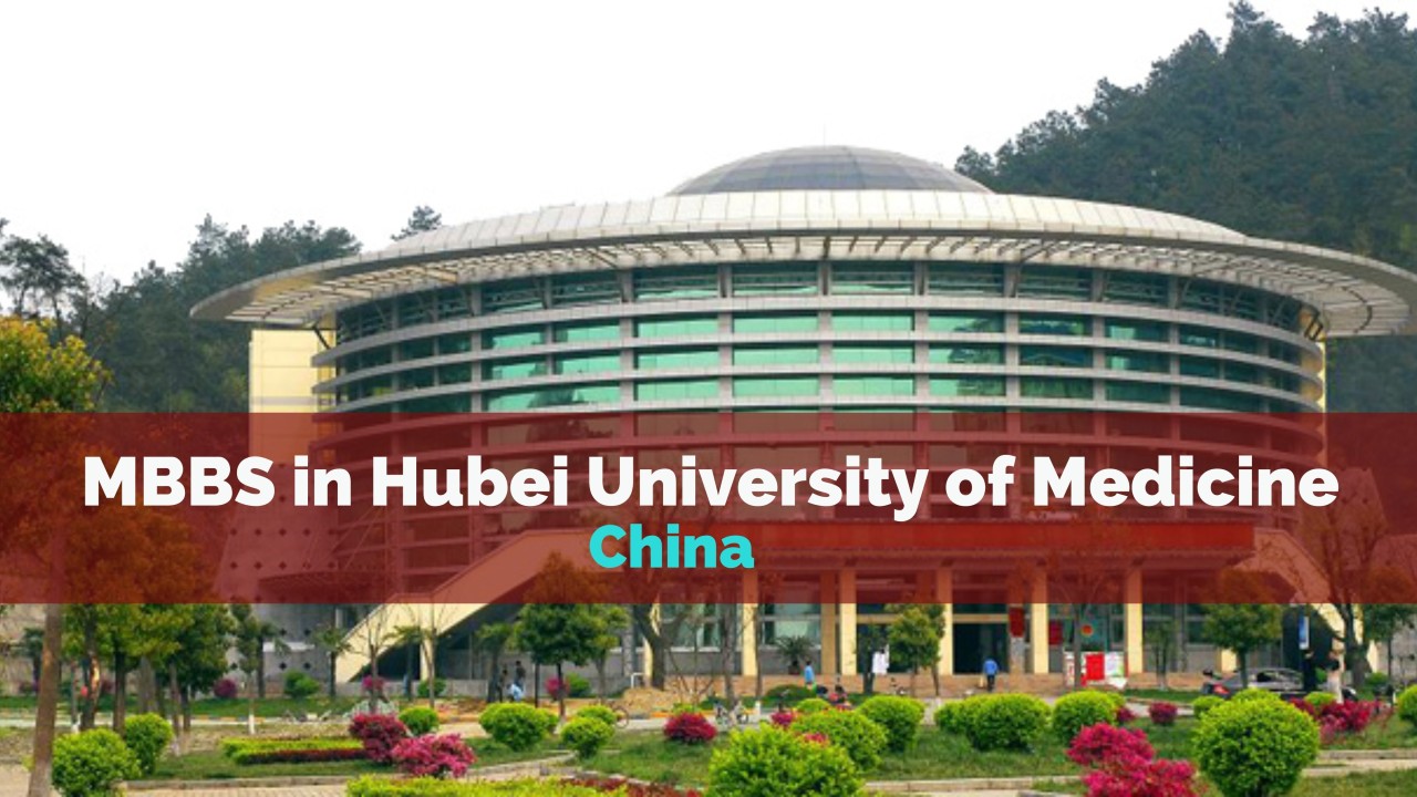 MBBS at Hubei University of Medicine MBBS at Hubei University of Medicine
