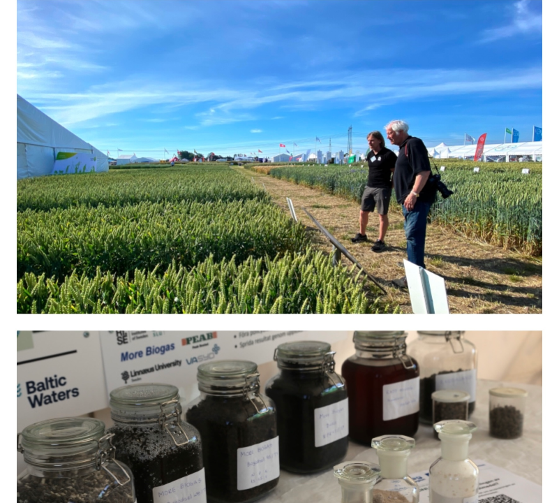 Unlocking the Potential of Recycled Nutrients in the Circular Economy ... Unlocking the Potential of Recycled Nutrients in the Circular Economy ...