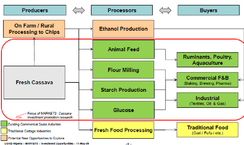 Cassava Crop Cassava Crop