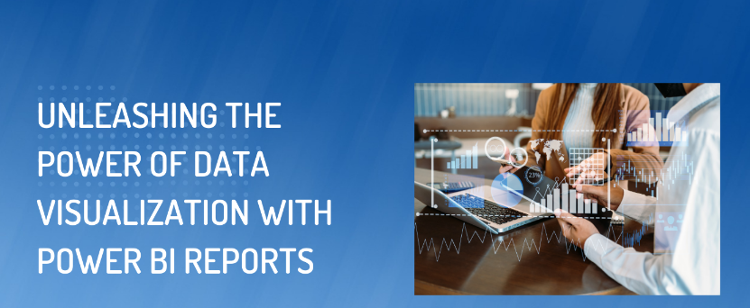 Unleashing the Power of Data Visualization: Journey of a Power BI Developer Unleashing the Power of Data Visualization: Journey of a Power BI Developer