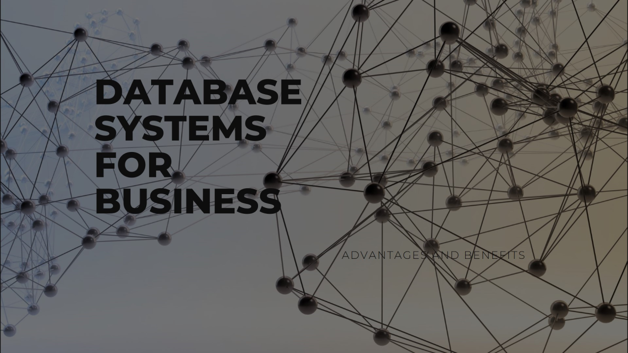 The Importance of Database Systems: Advantages for Businesses. The Importance of Database Systems: Advantages for Businesses.