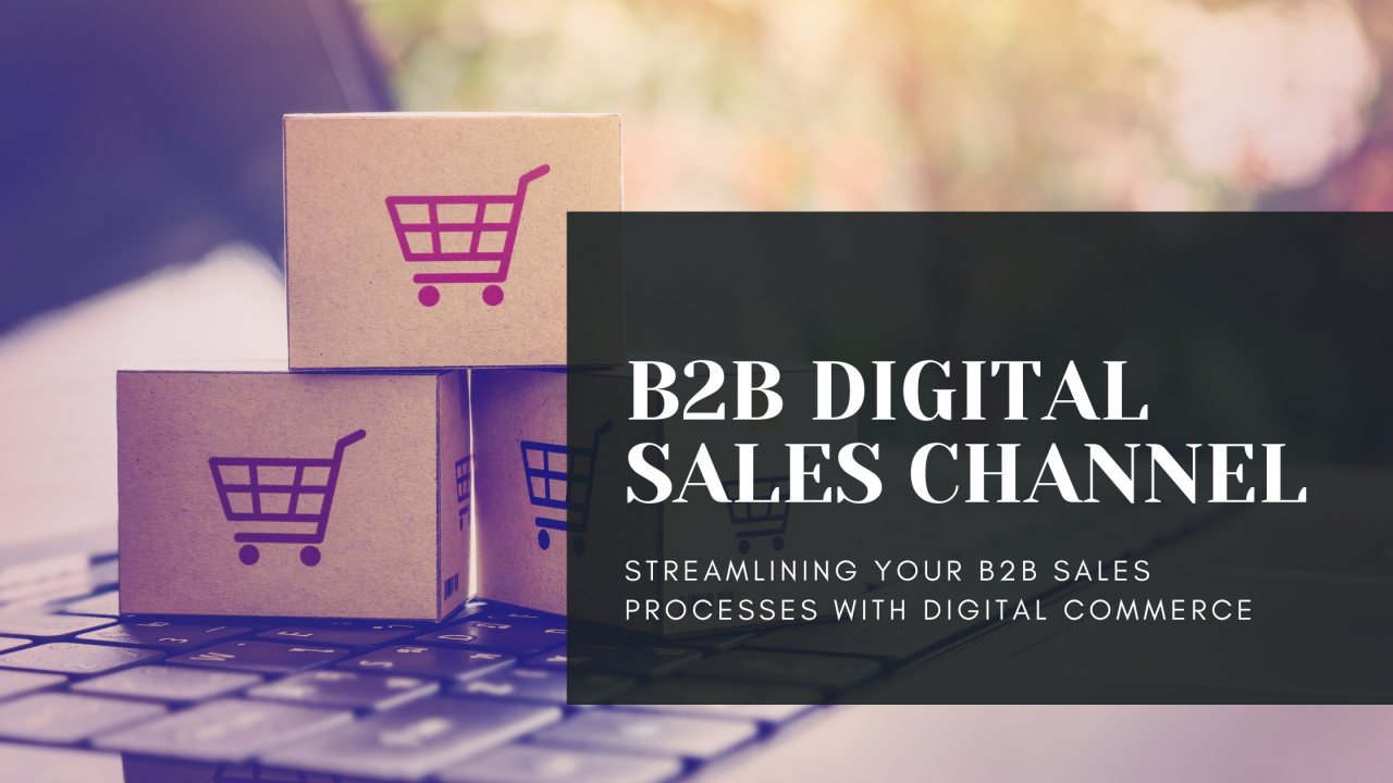 Streamlining Your B2B Sales Processes with Digital Commerce Streamlining Your B2B Sales Processes with Digital Commerce