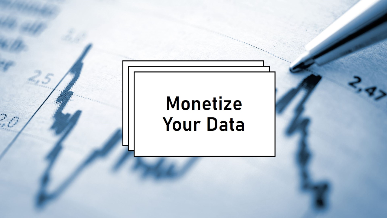 Data Monetization Strategies: Turning Information into Profit Data Monetization Strategies: Turning Information into Profit