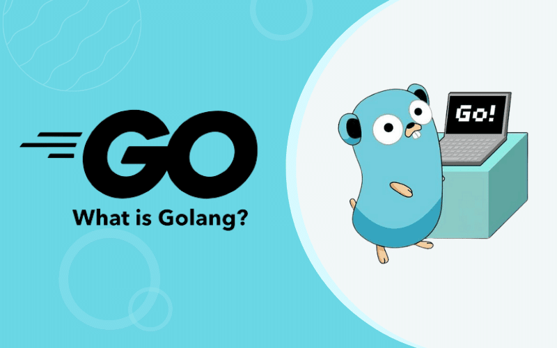 Getting Started with Go Programming Getting Started with Go Programming
