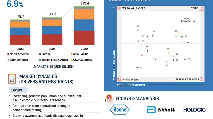 Top 5 Prominent Companies Shaping The Future of In Vitro Diagnostics Market Top 5 Prominent Companies Shaping The Future of In Vitro Diagnostics Market