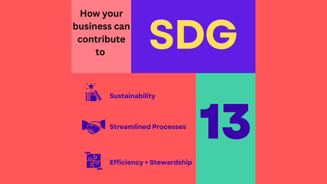 Streamlined Processes and Sustainable Development Goal 13: Climate Action Streamlined Processes and Sustainable Development Goal 13: Climate Action