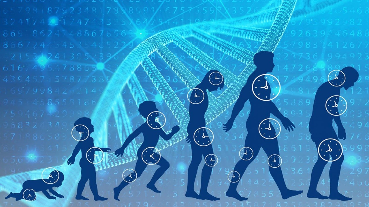 AI Unlocks the Secrets of Longevity AI Unlocks the Secrets of Longevity