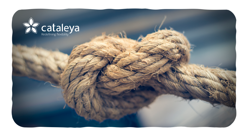 Yaana Technologies LLC and Cataleya Private Limited Announce Successful ... Yaana Technologies LLC and Cataleya Private Limited Announce Successful ...