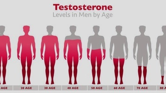 Increase Testosterone levels quickly and safely. Increase Testosterone levels quickly and safely.
