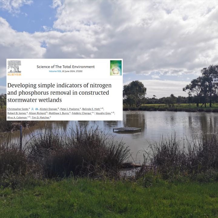 Simple indicators of nitrogen and phosphorus removal in wetlands Simple indicators of nitrogen and phosphorus removal in wetlands