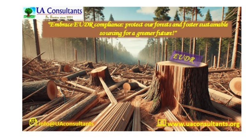 Navigating the European Union Deforestation Regulation (EUDR): A Guide ... Navigating the European Union Deforestation Regulation (EUDR): A Guide ...