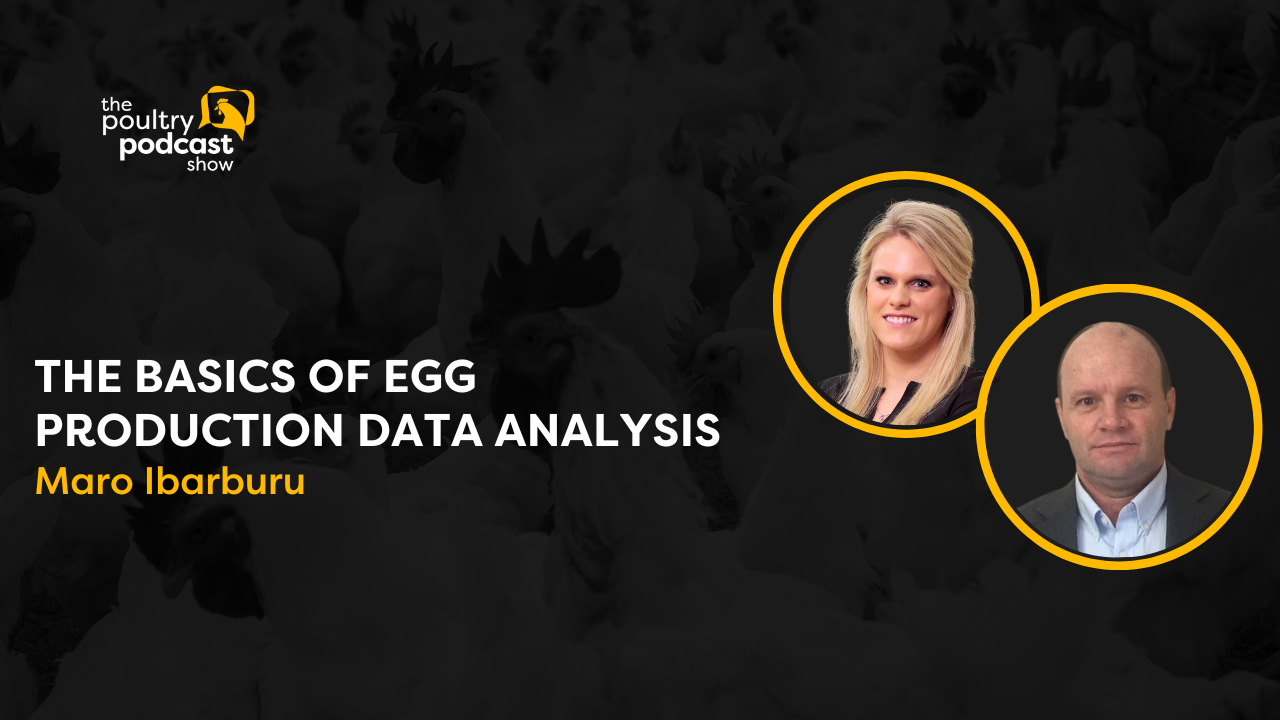 The basics of egg production data analysis The basics of egg production data analysis