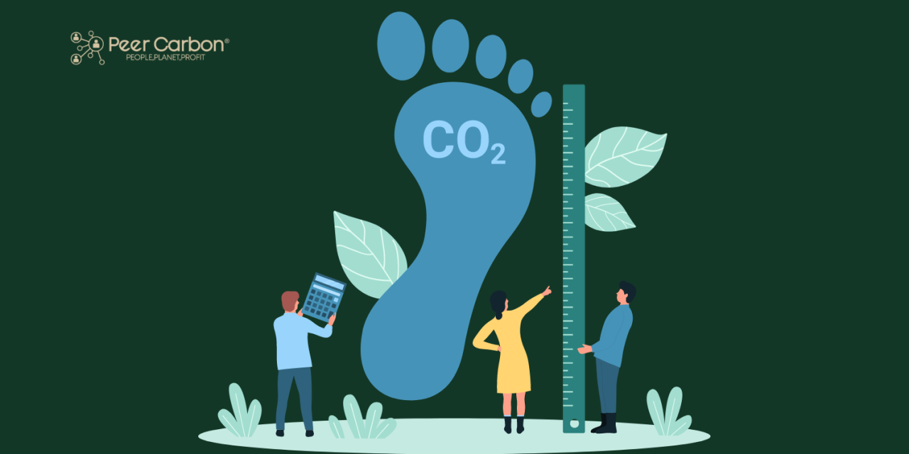 5 Reasons Why Small Businesses Should Do Their Carbon Footprinting 5 Reasons Why Small Businesses Should Do Their Carbon Footprinting