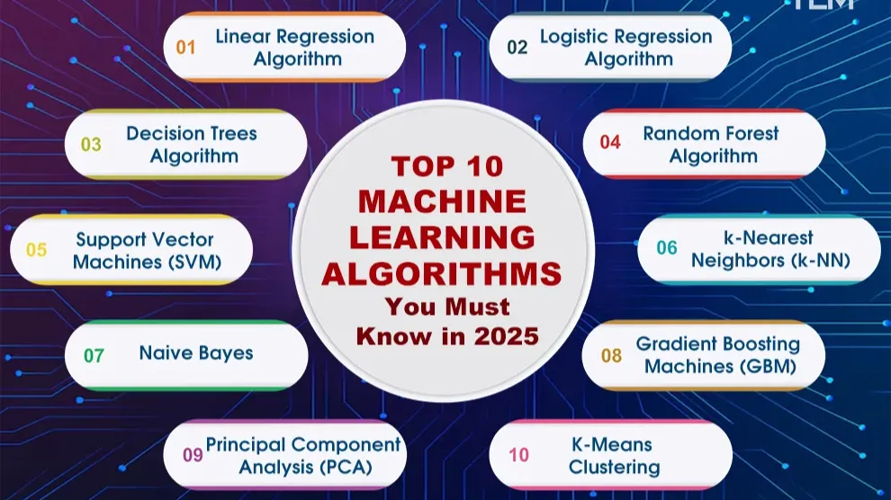 Top 10 Machine Learning Algorithms You Must Know in 2025 Top 10 Machine Learning Algorithms You Must Know in 2025