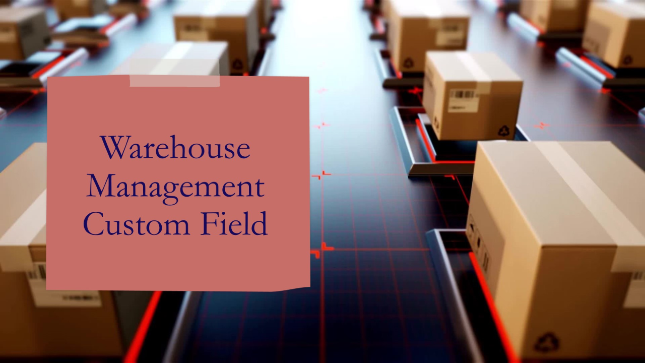 Adding Custom Fields in D365FO WMS: A Step-by-Step Guide Adding Custom Fields in D365FO WMS: A Step-by-Step Guide