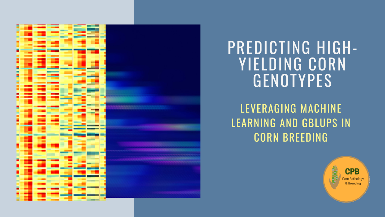 Leveraging Machine Learning and GBLUPs in Corn Breeding to Predict High ... Leveraging Machine Learning and GBLUPs in Corn Breeding to Predict High ...