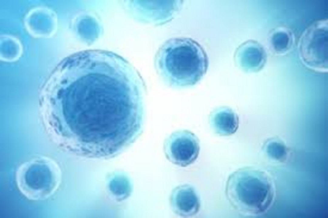 A Closer Look at Regenerative Medicine Risks A Closer Look at Regenerative Medicine Risks