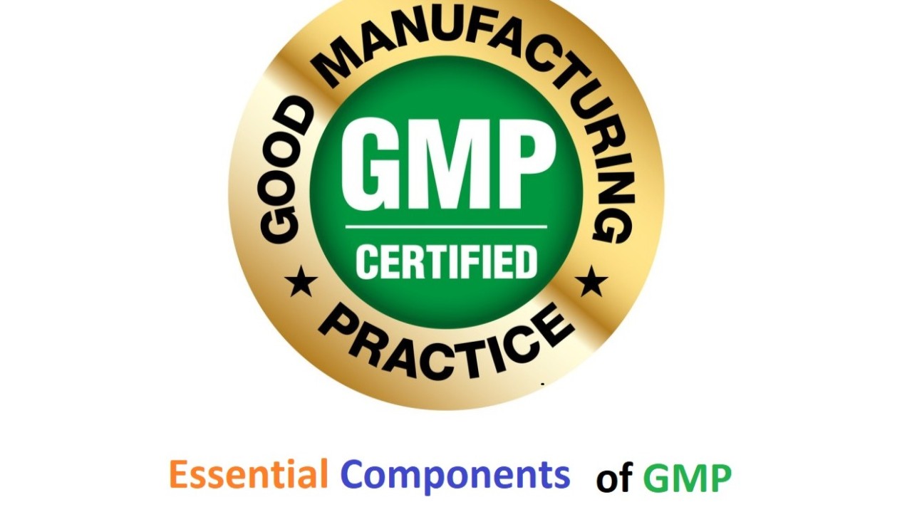 Essential Components of GMP Essential Components of GMP