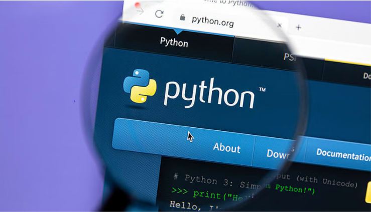Python Loops: A Quick Guide Python Loops: A Quick Guide
