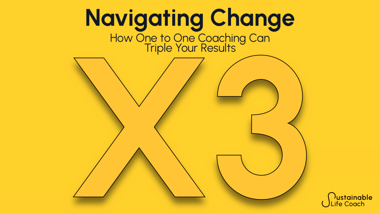 Navigating Change: How One to One Coaching Can Triple Your Results Navigating Change: How One to One Coaching Can Triple Your Results