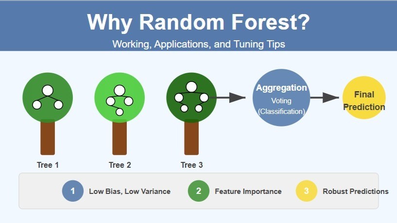 🌳 Why Random Forest? Working, Applications, and Tuning Tips 🌳 Why Random Forest? Working, Applications, and Tuning Tips