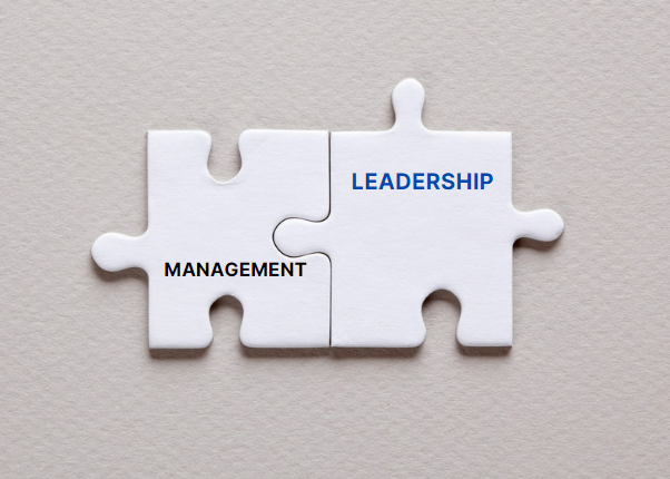 Avoiding Pitfalls: Overcoming Blind Spots in Management and Leadership ... Avoiding Pitfalls: Overcoming Blind Spots in Management and Leadership ...