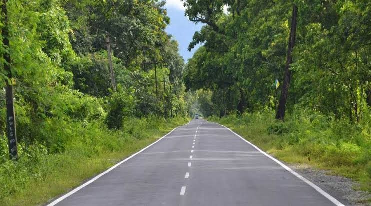 The Road to Become a Clinical SAS Programmer in India The Road to Become a Clinical SAS Programmer in India