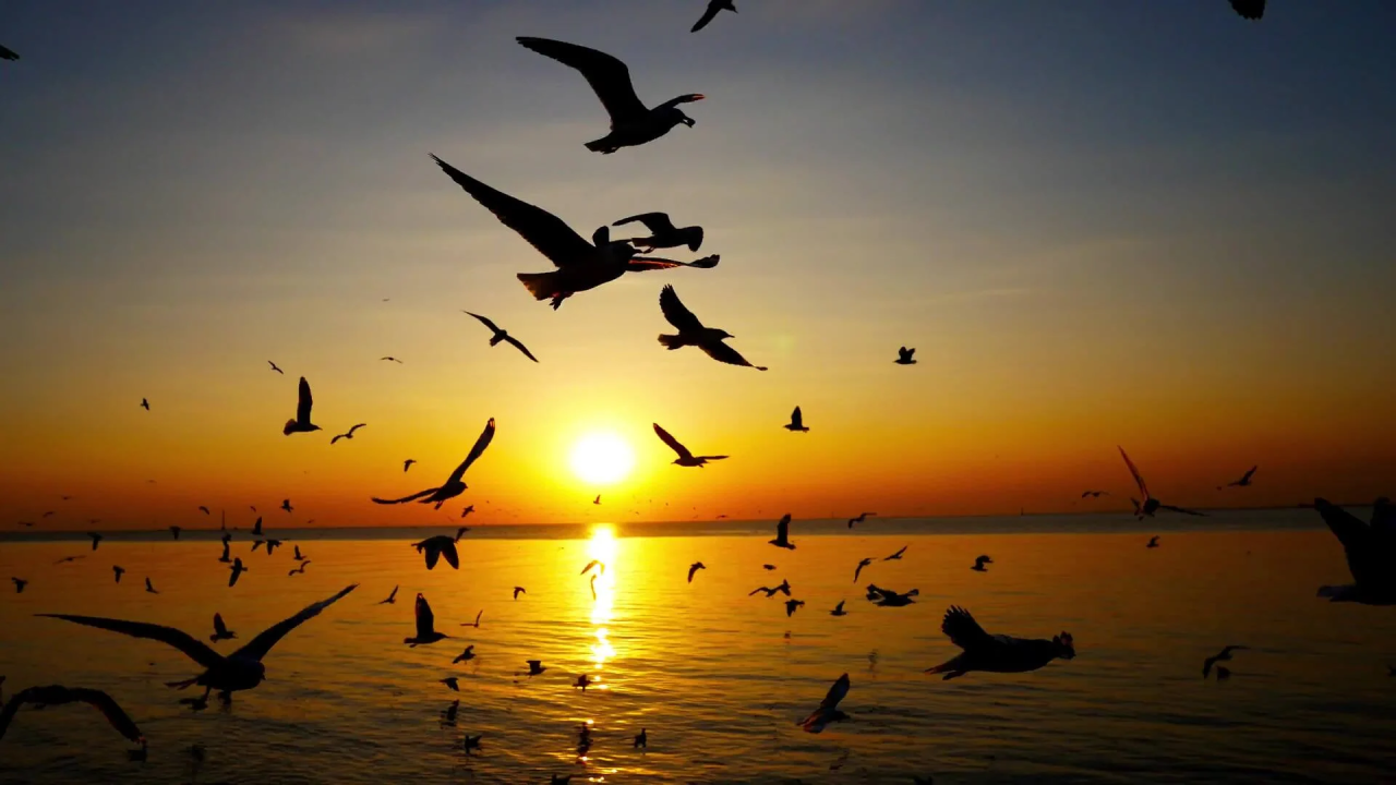 Embrace Self-Reliance Embrace Self-Reliance
