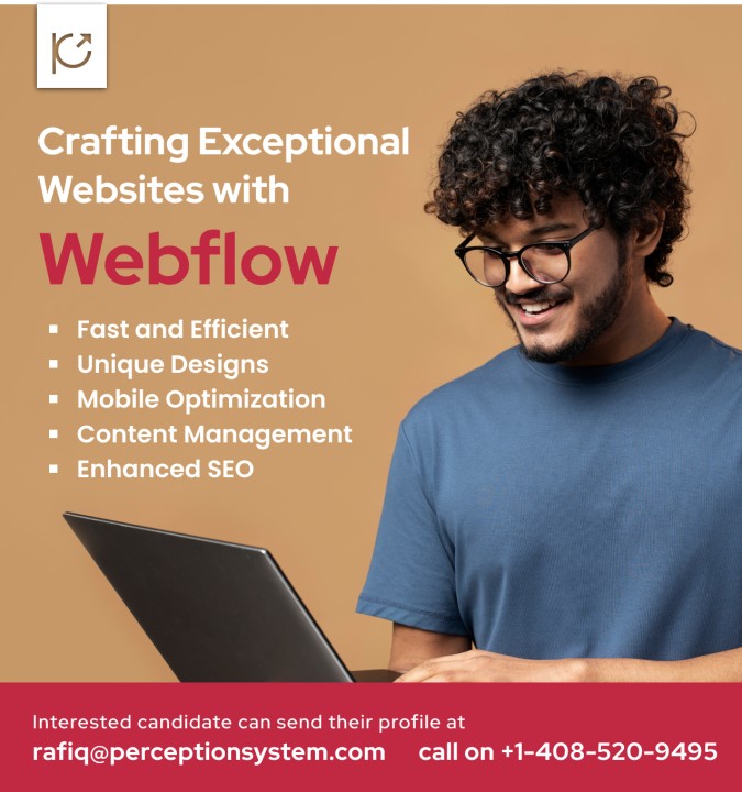 Perception System: Crafting Exceptional Websites with Webflow Perception System: Crafting Exceptional Websites with Webflow
