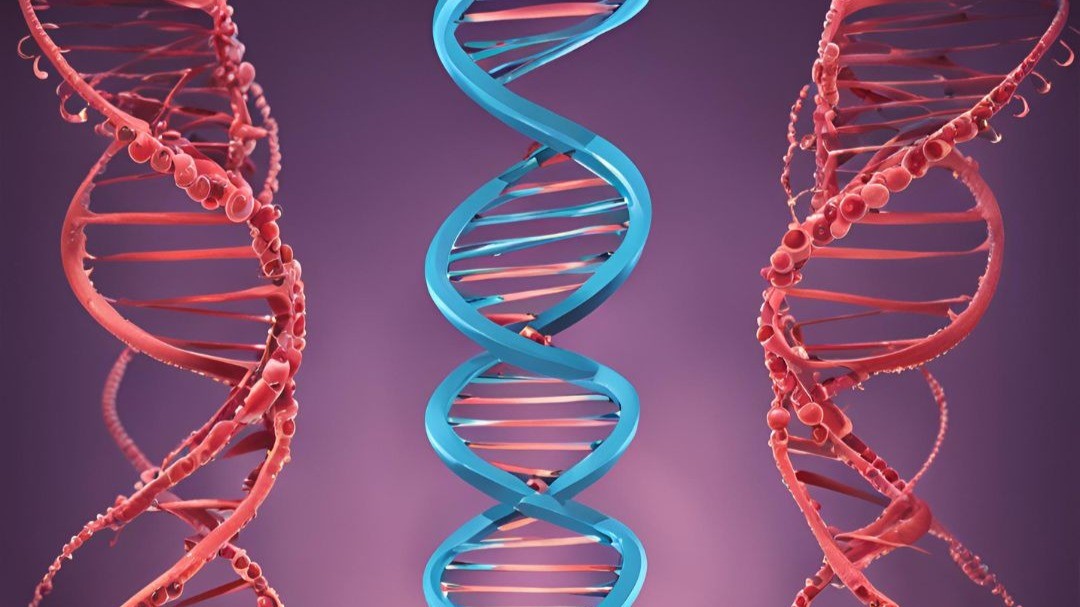 Breakthrough in Sickle Cell Anemia Treatment Using CRISPR-Cas9 Breakthrough in Sickle Cell Anemia Treatment Using CRISPR-Cas9