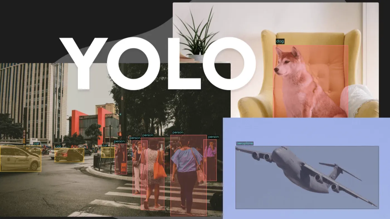 YOLO - YOLO -