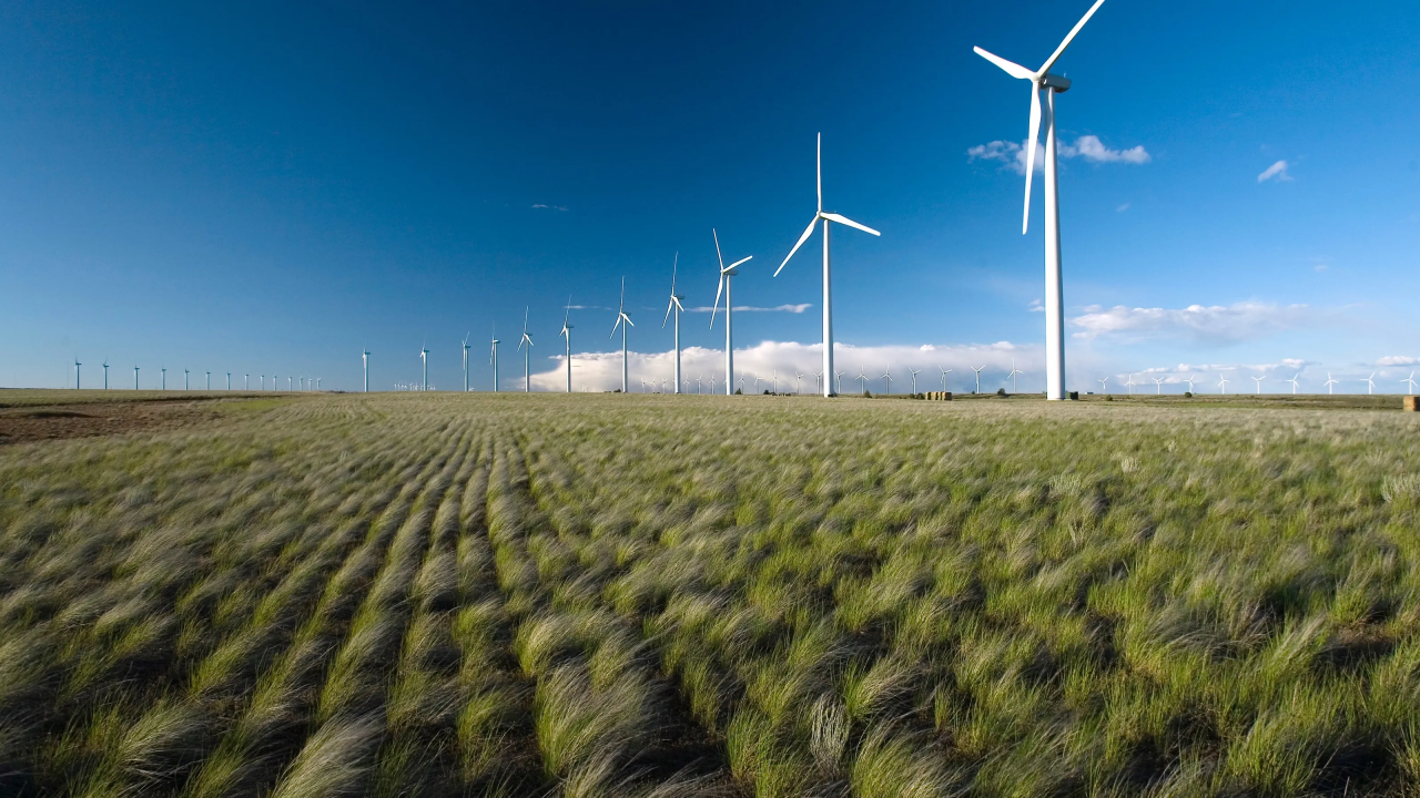Maximizing Wind Energy Potential: Navigating the Wind Farm Software ... Maximizing Wind Energy Potential: Navigating the Wind Farm Software ...