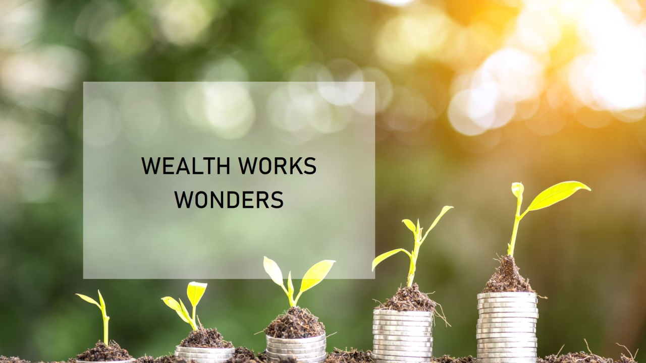 Why New Investors in Indian Equity Markets Struggle to Make Profits Why New Investors in Indian Equity Markets Struggle to Make Profits