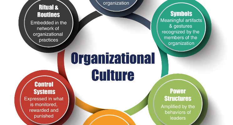 Organizational culture & its types. Organizational culture & its types.