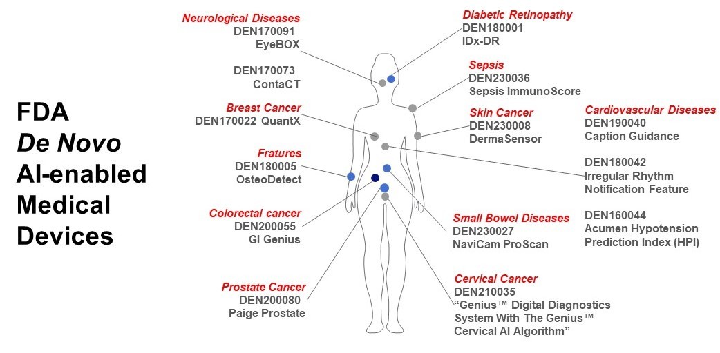 Tracing the AI (r)Evolution: FDA De Novo AI-enabled Medical Devices Tracing the AI (r)Evolution: FDA De Novo AI-enabled Medical Devices